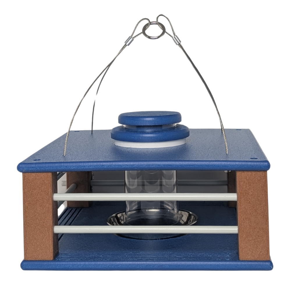 Bluebird Feeders – Specialty Feeders & Mealworm Dishes – Bird Haven