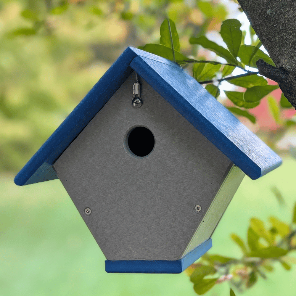 Classic Wren & Chickadee House – Bird Haven