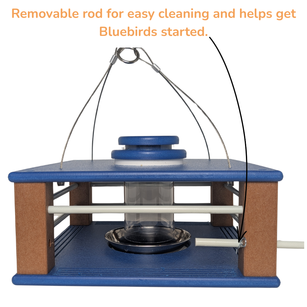 BlueFeast™ Deluxe Bluebird Feeder | Gilbertson Style, Large Capacity ...