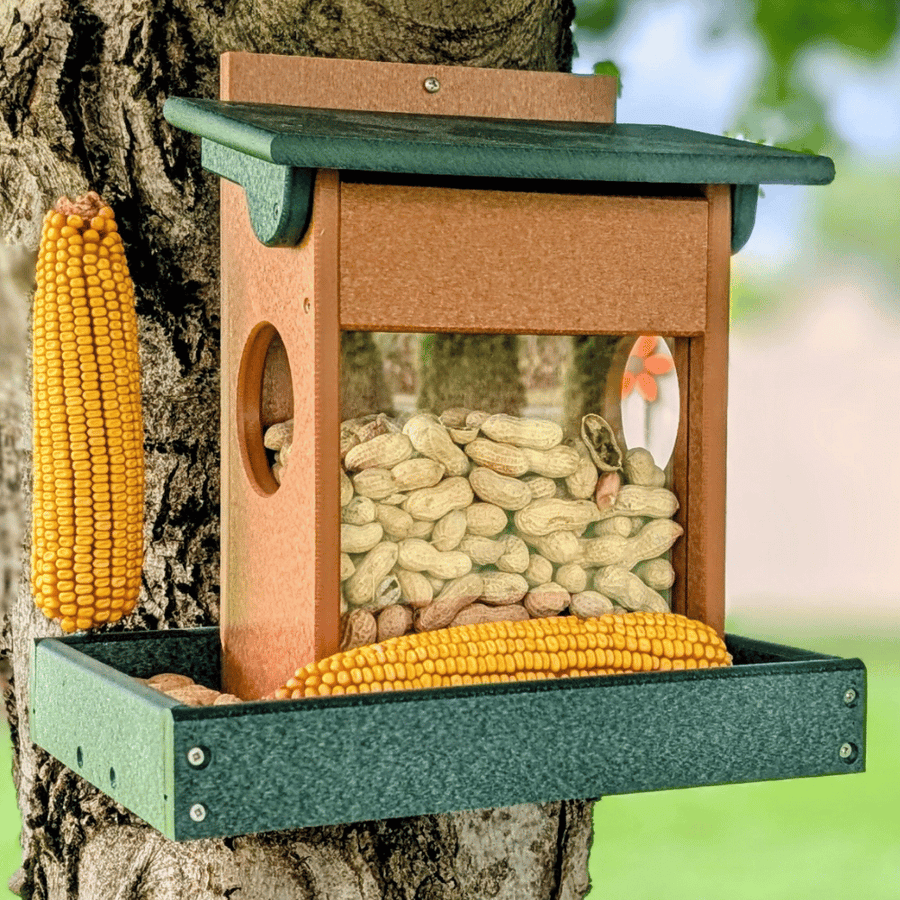 Bird Houses – Safe & Durable Nesting Boxes – Bird Haven